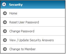 Accessing the Security System